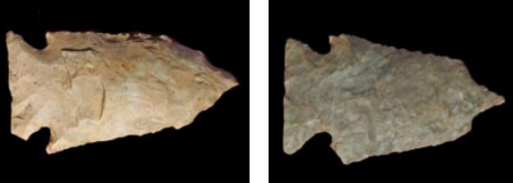 An Early Archaic Tool for Extraction of the Meat from Muscle Shells