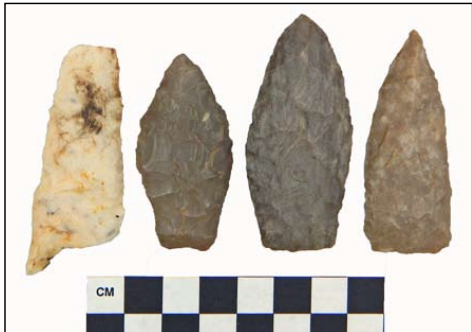 Central States Archaeological Societies :: A Projectile Point ...